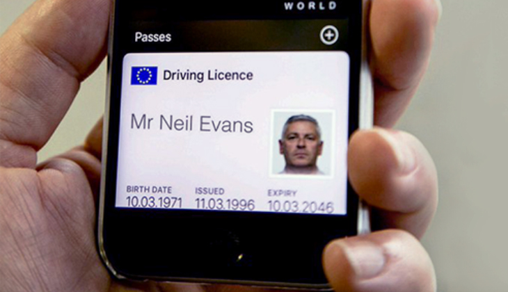Could this mean the end of the real driving licence?